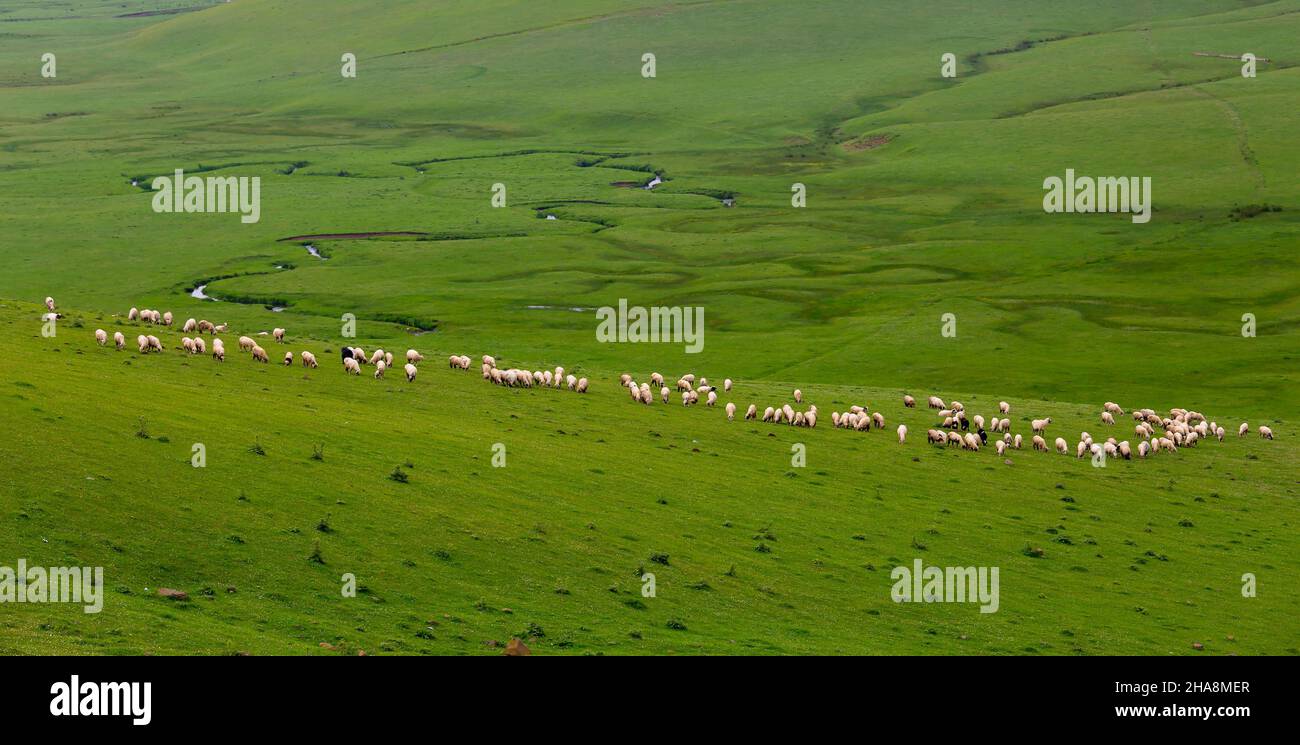 the meanders of the Perşembe plateau, aybasti, ordu, turkey Stock Photo ...