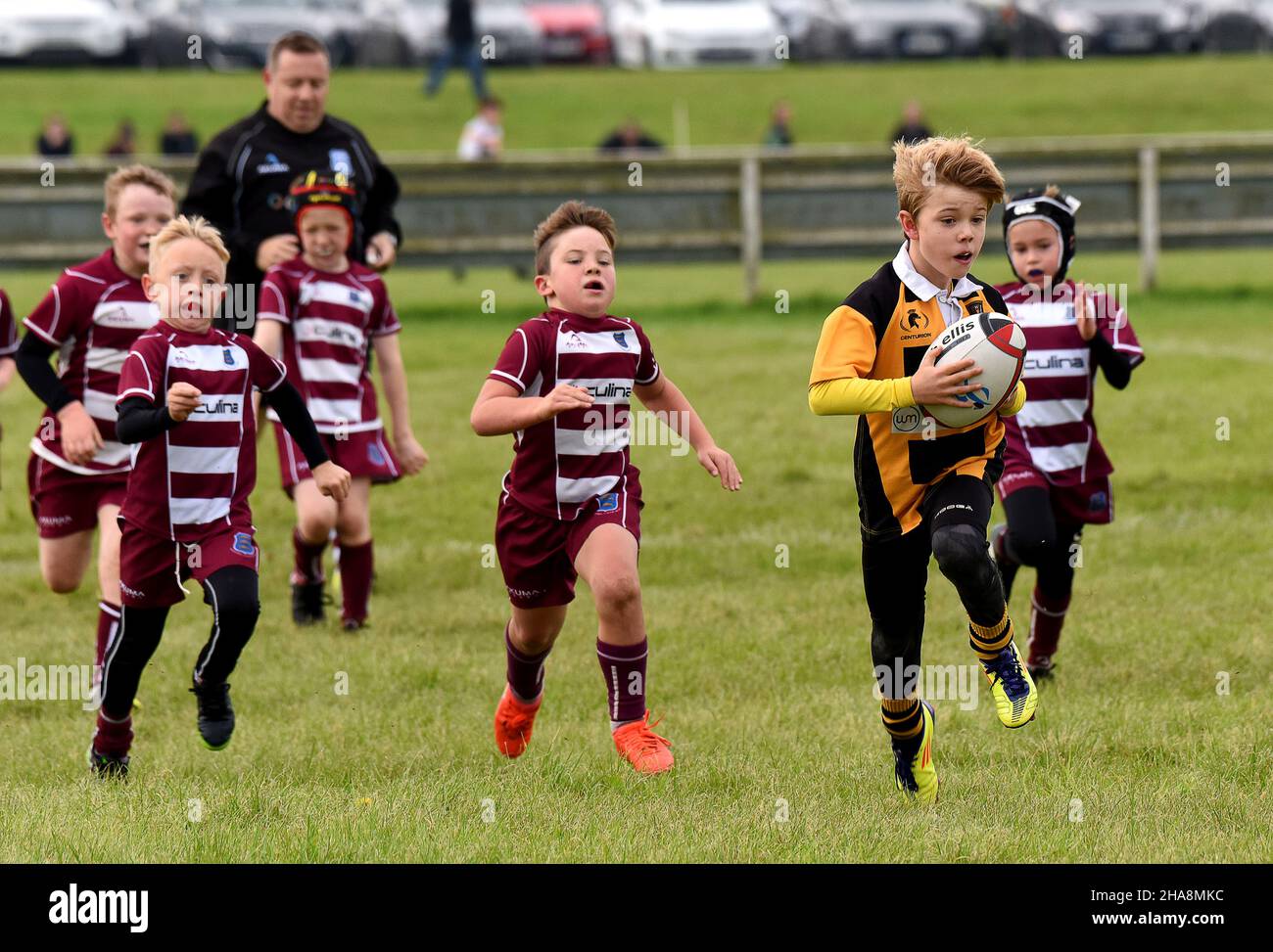 Junior tag childrens rugby action Uk Britain Uk children childrens ...