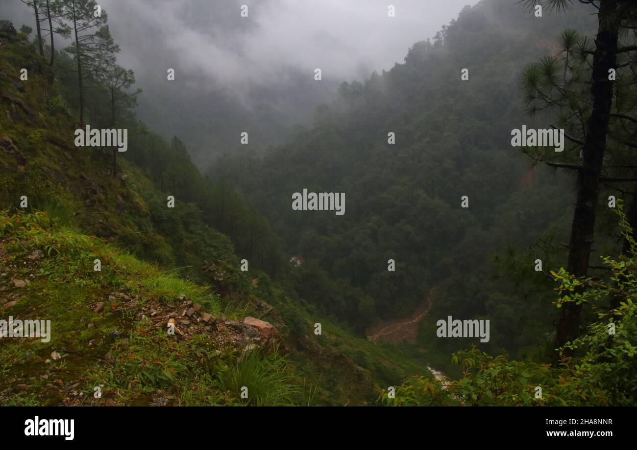 deep green valley in Himalayas Stock Photo - Alamy