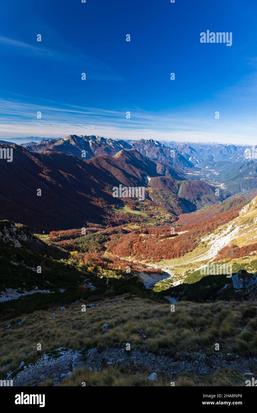 Autumn day with colorful foliage in the woods of Val di Resia, Friuli ...