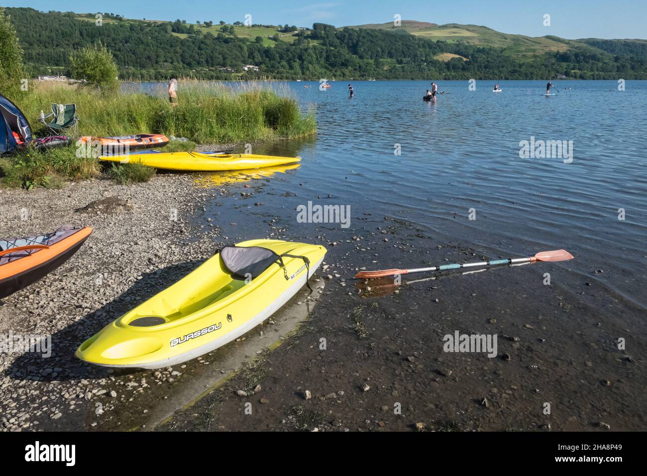 Swimming,swim,swimmers,kayak,canioe,SUP,Stand Up Paddle, board,Stand Up ...