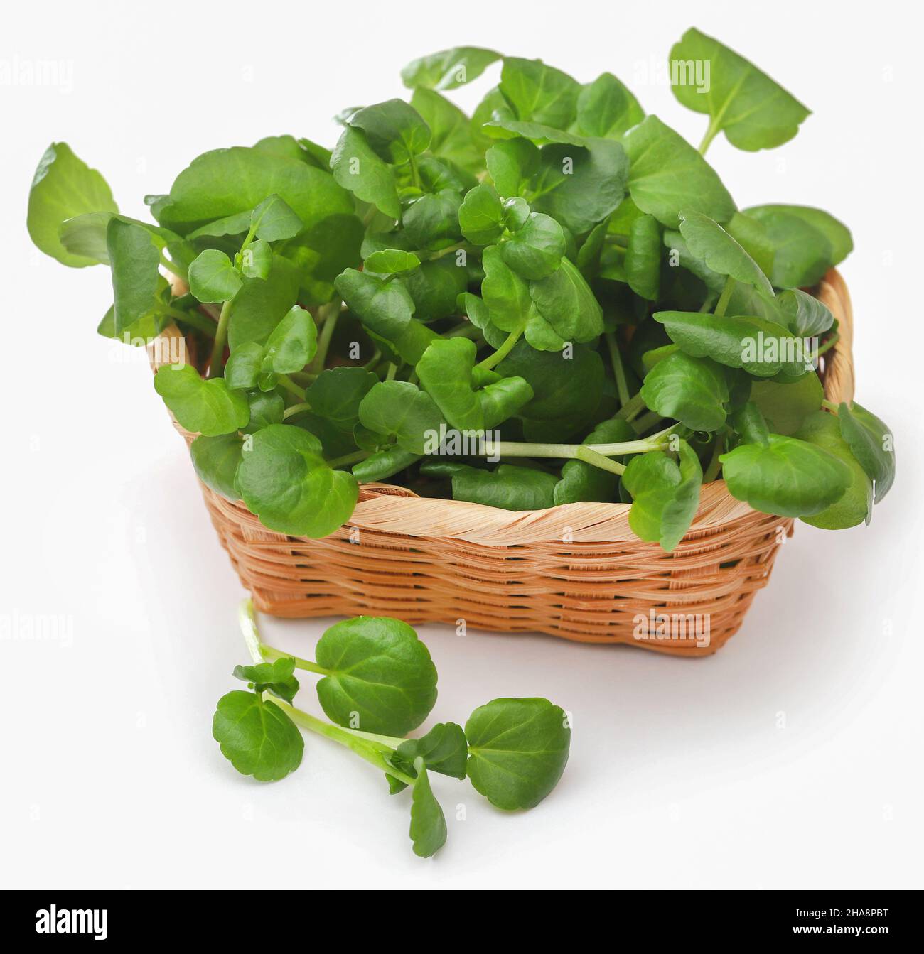 Fresh organic watercress in a basket over white background Stock Photo ...