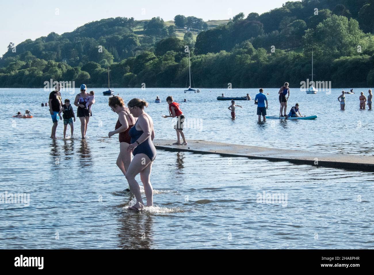 Swimming,swim,swimmers,kayak,canioe,SUP,Stand Up Paddle, board,Stand Up ...