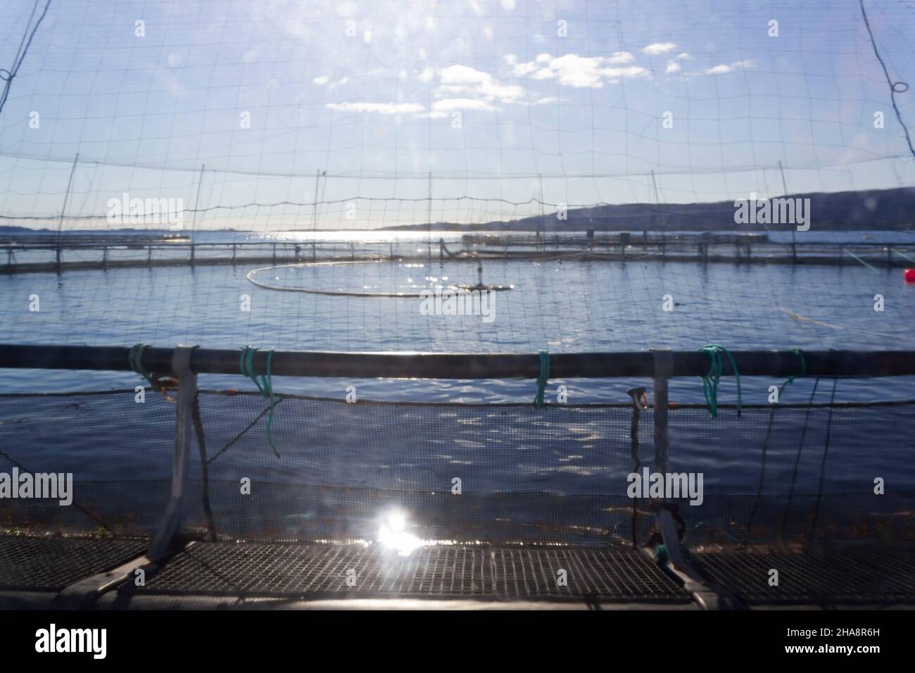 Fish farming in Norway sea Stock Photo - Alamy