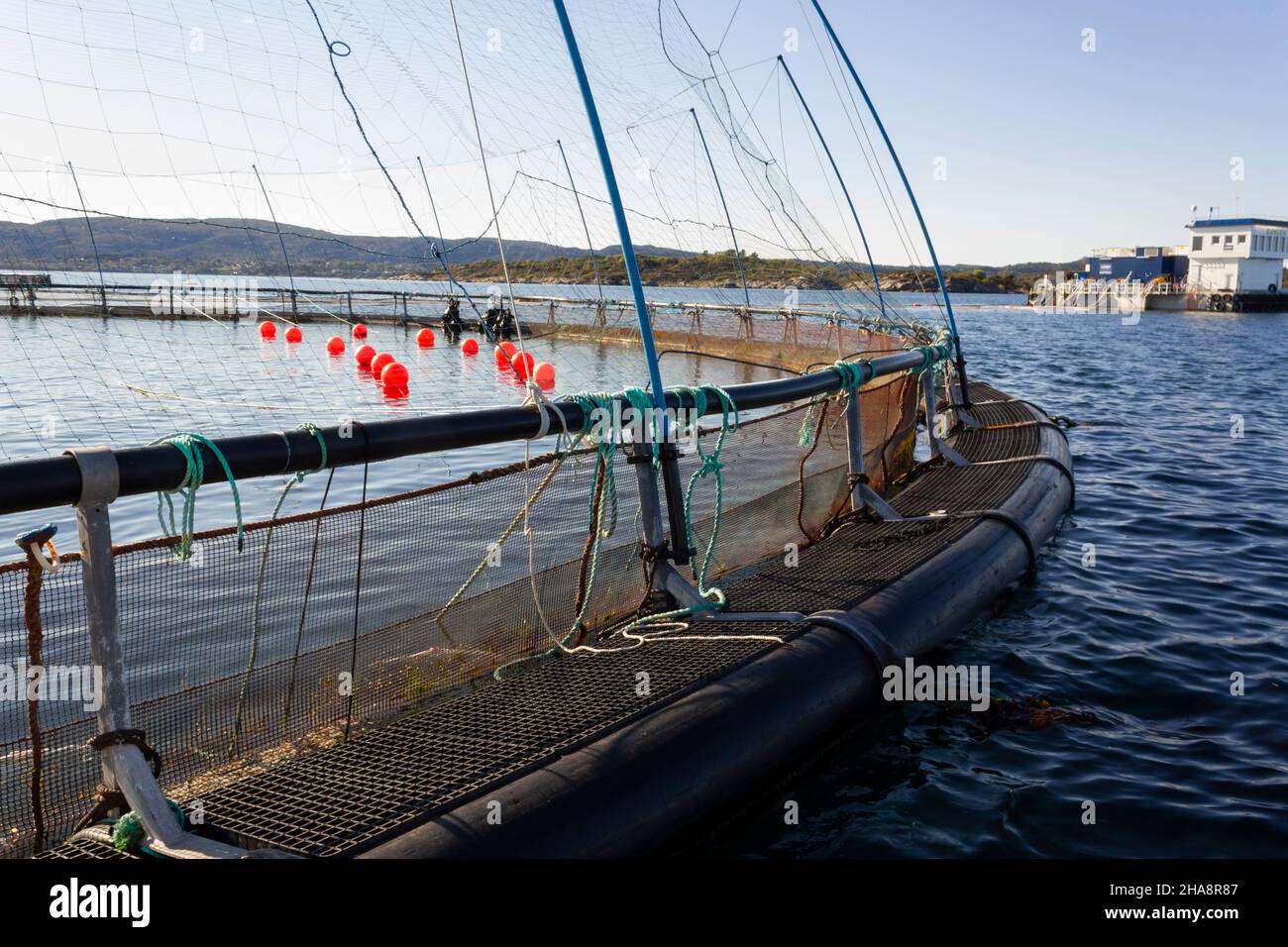 Fish farming in Norway sea Stock Photo - Alamy