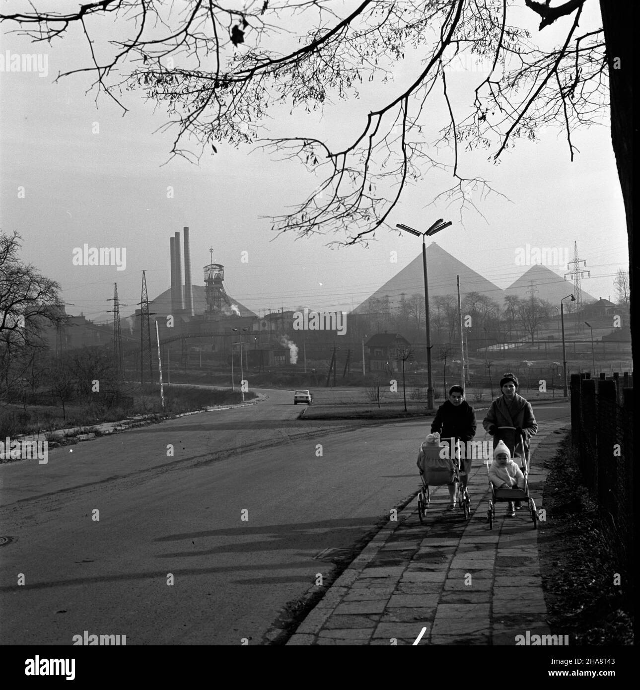 Rydu³towy, 1969-11-18. Rybnicki Okrêg Wêglowy (ROW). Panorama kopalni ...