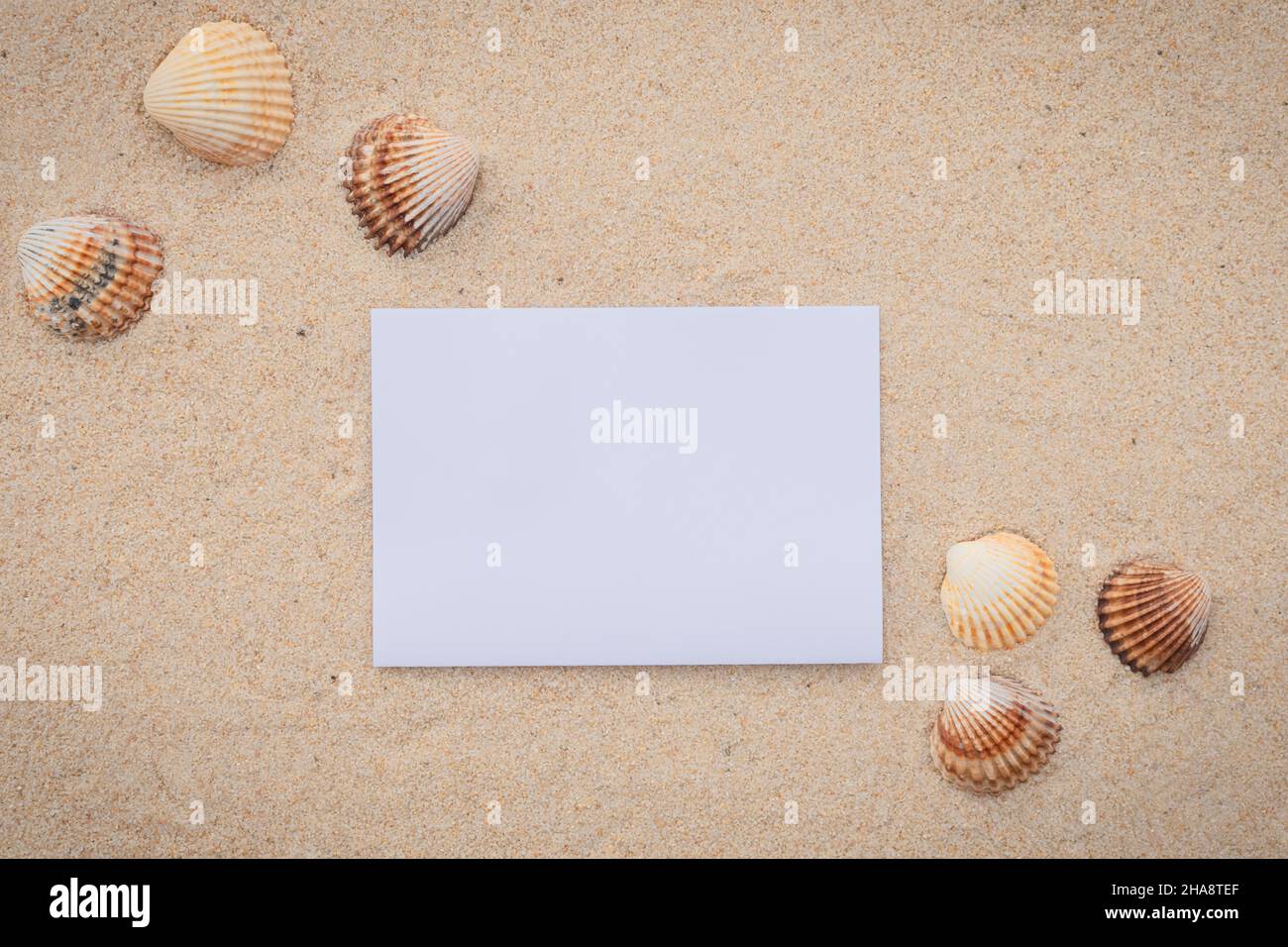 Background grains of sea sand, fine beach sand with envelope and pebble ...