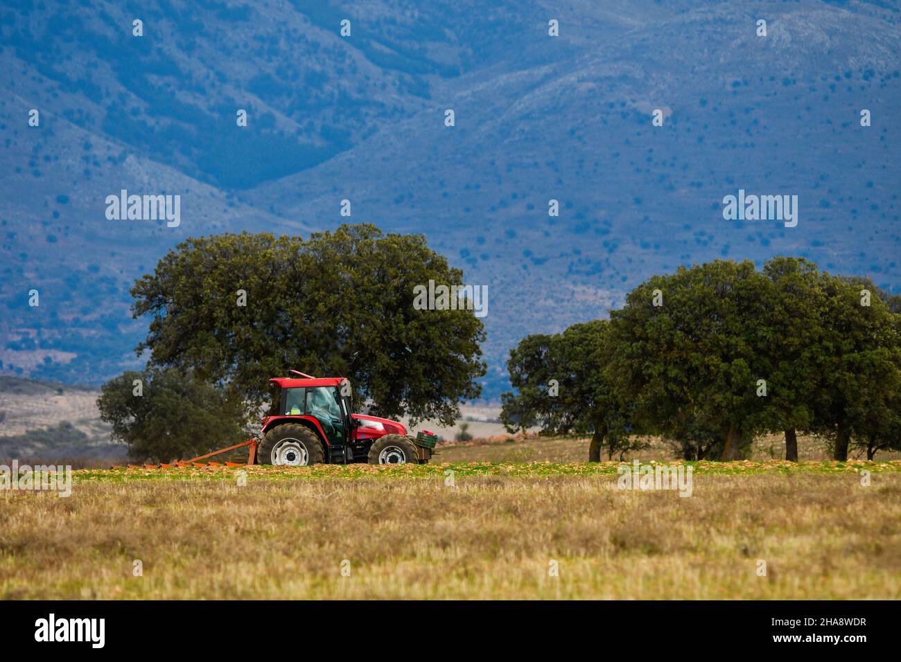 Agriculture outdoors work working agricultural countryside cultivation ...