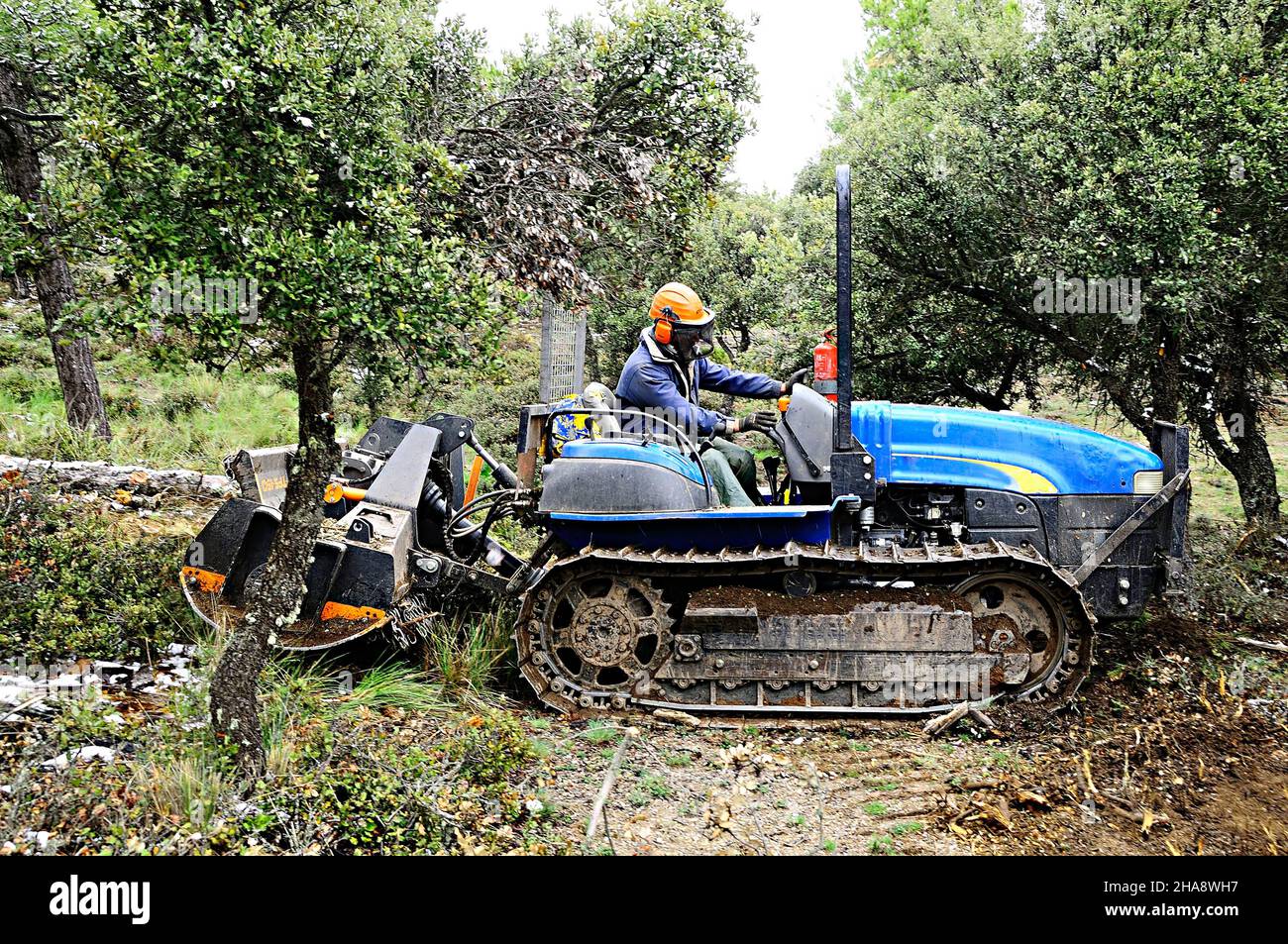 Caterpillar tractor working in hi-res stock photography and images - Alamy