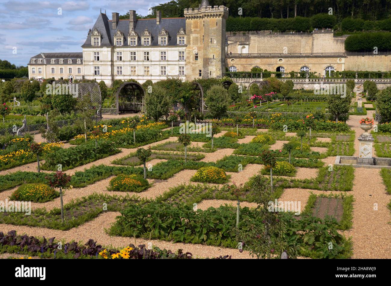 The gardens of the Villandry castle in the Loire valley, France, are a ...