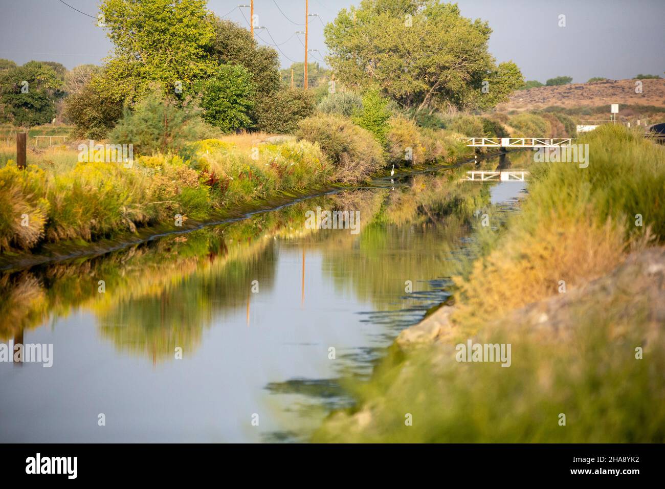 Long water canal lined by power poles crossed by a white bridge with a ...