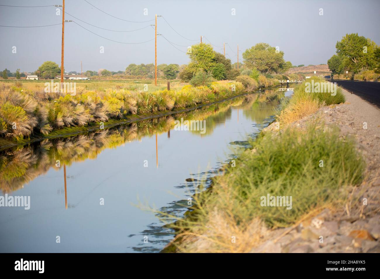 Long water canal lined by power poles Stock Photo - Alamy