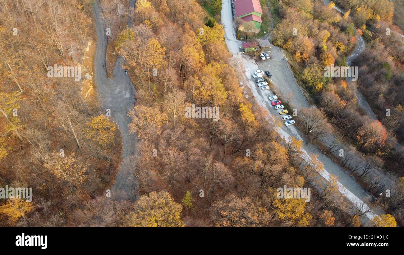 Top view of a forest enveloped in lush trees during autumn Stock Photo ...