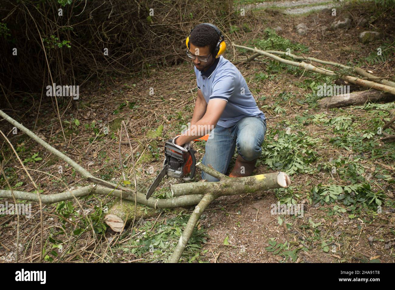 County kerry arms hi-res stock photography and images - Alamy