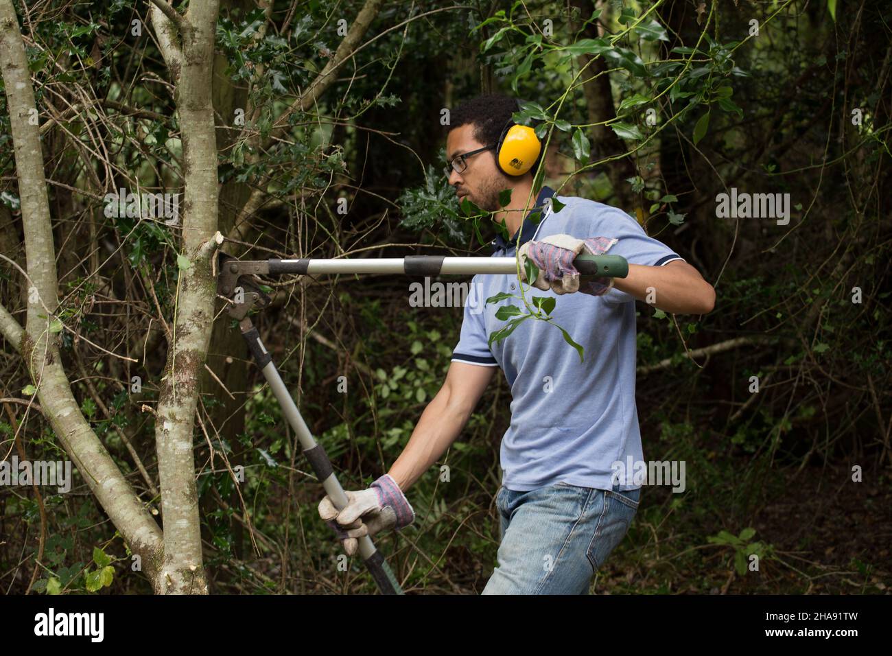 County kerry arms hi-res stock photography and images - Alamy