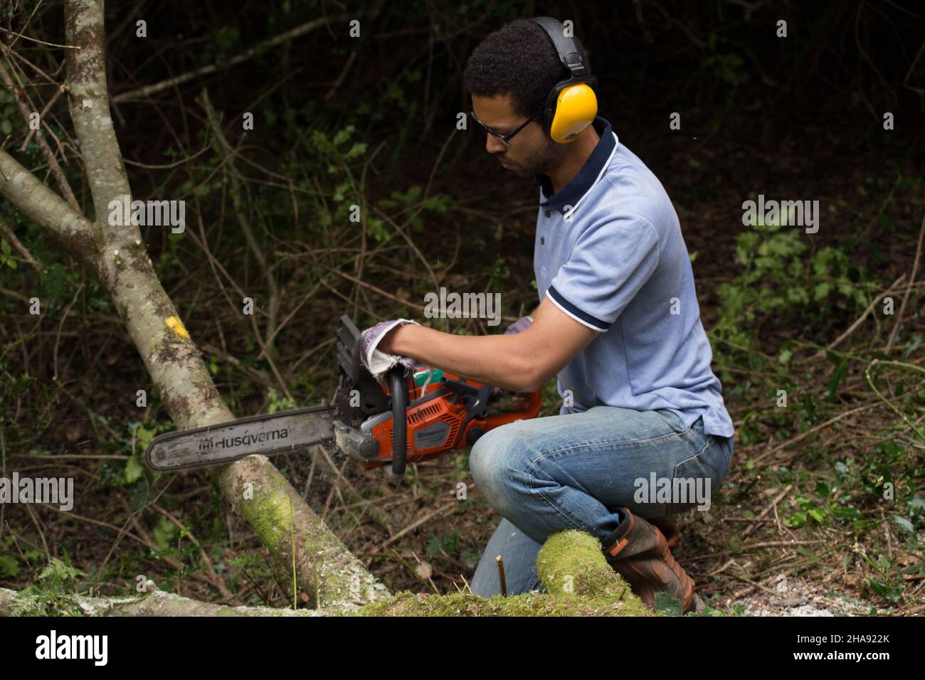 County kerry arms hi-res stock photography and images - Alamy