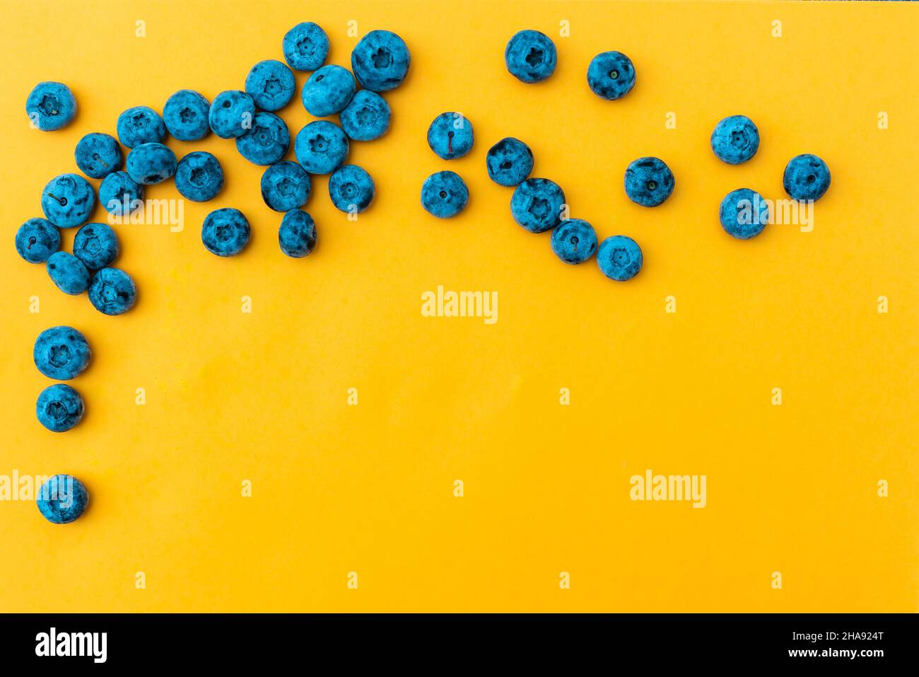 Blueberries. Blueberry isolate on yellow. Top view Stock Photo - Alamy