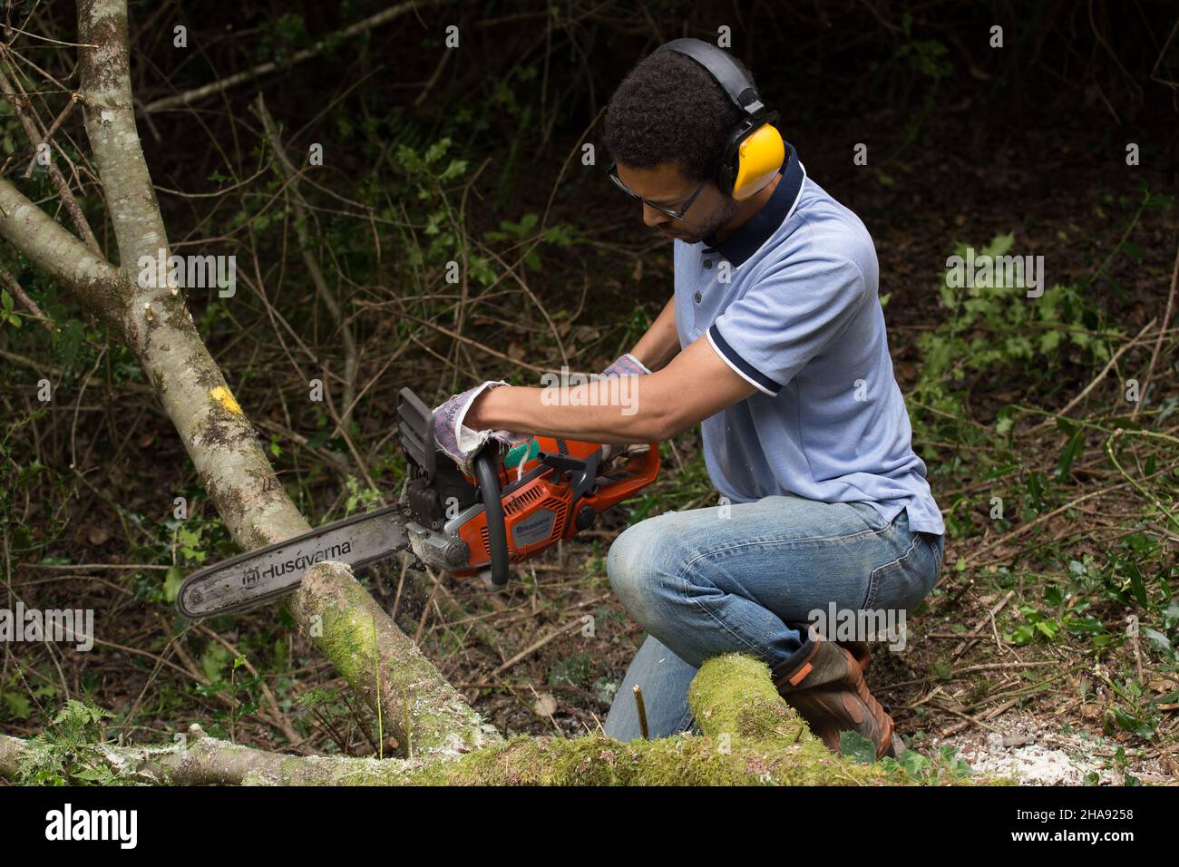 County kerry arms hi-res stock photography and images - Alamy