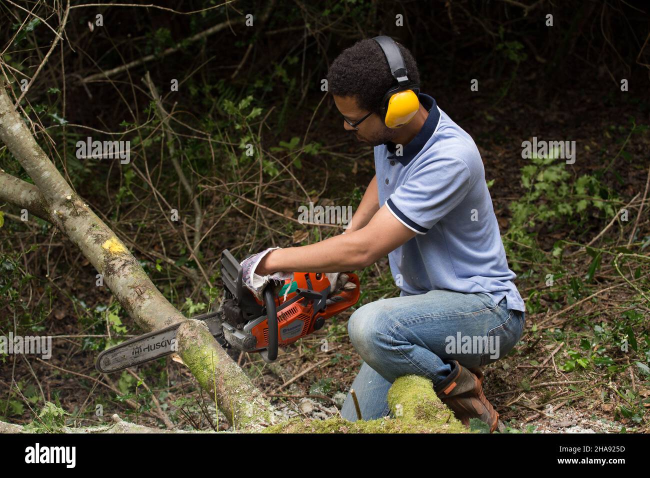 County kerry arms hi-res stock photography and images - Alamy