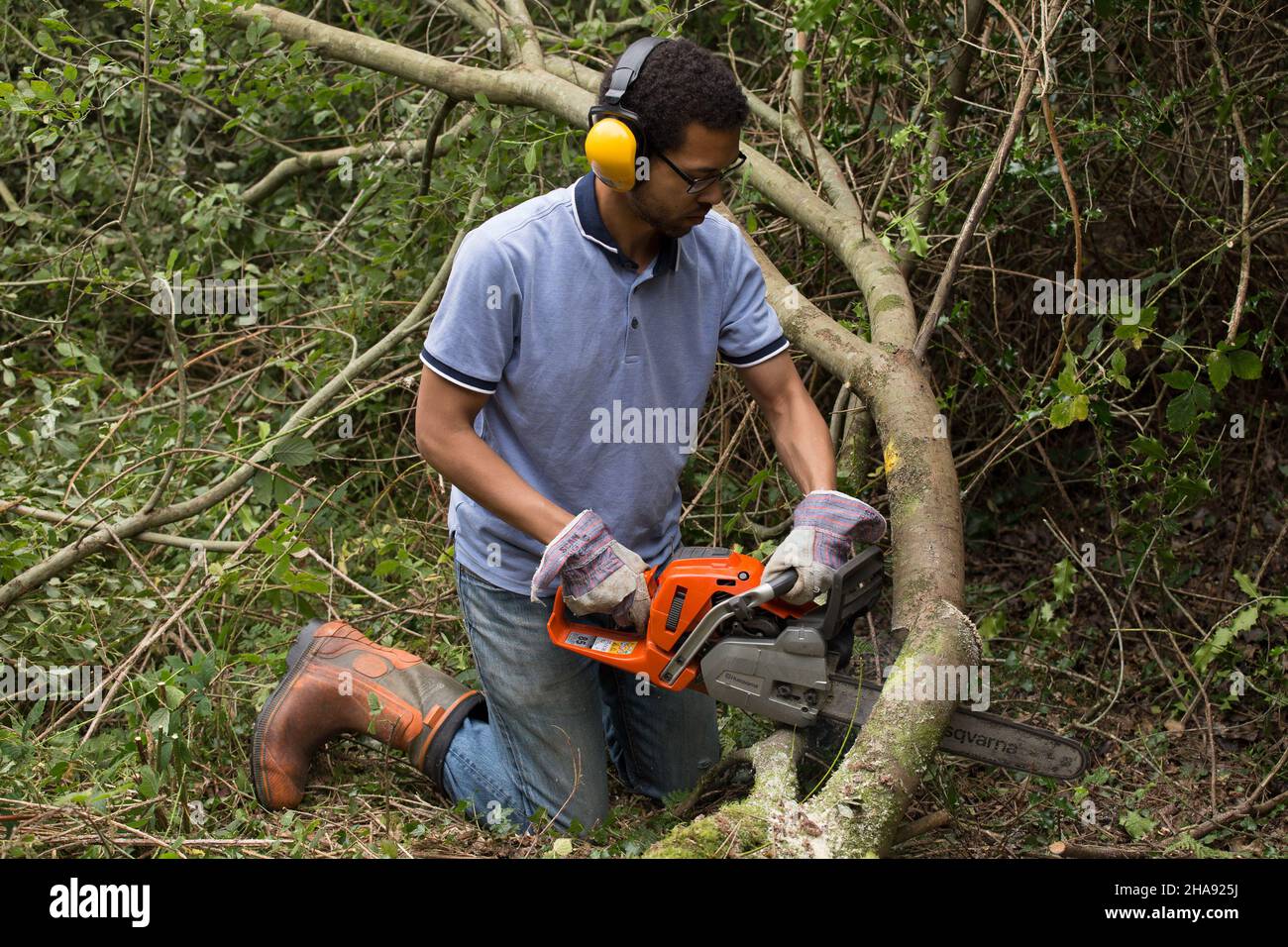 County kerry arms hi-res stock photography and images - Alamy