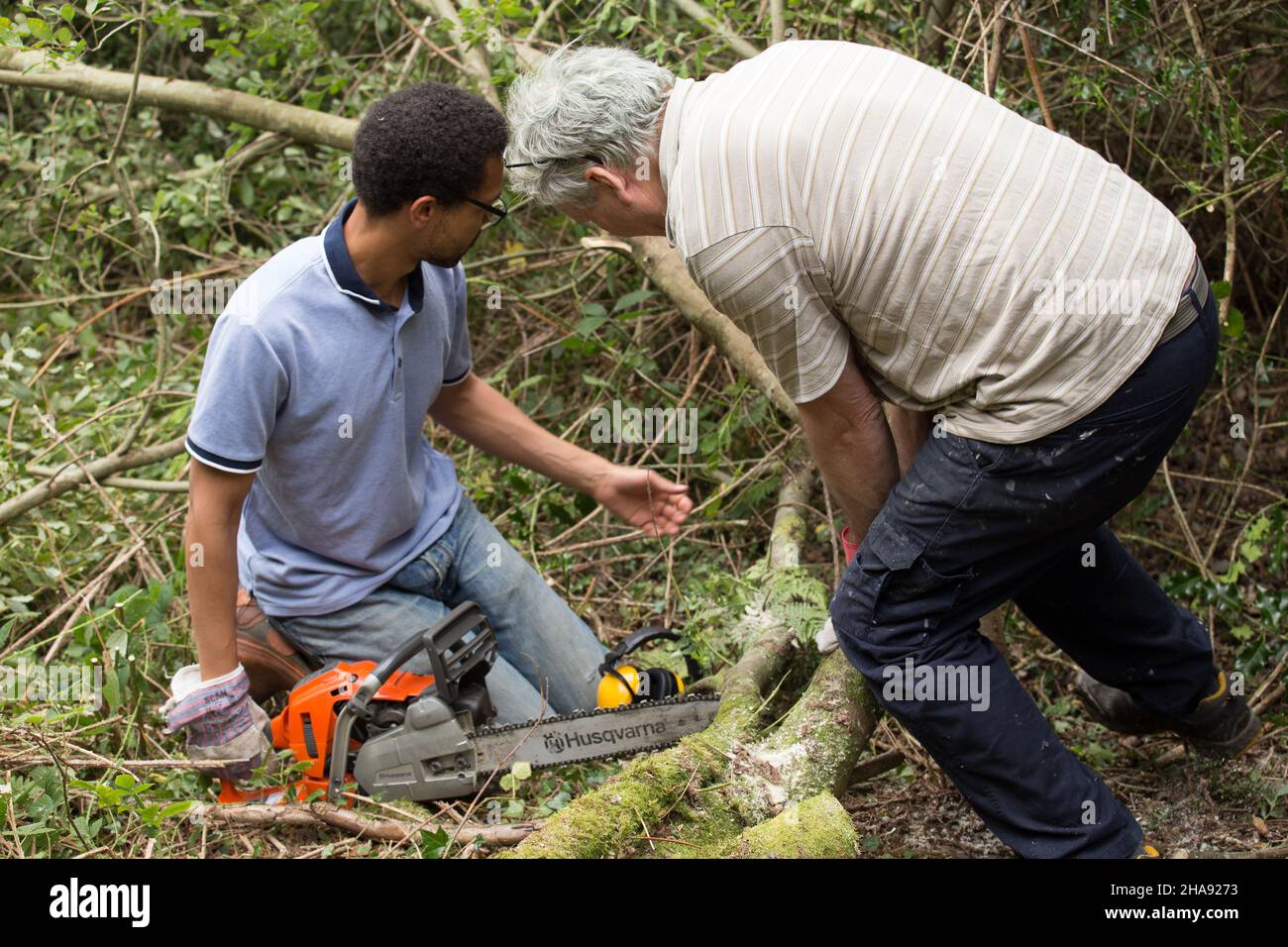 County kerry arms hi-res stock photography and images - Alamy