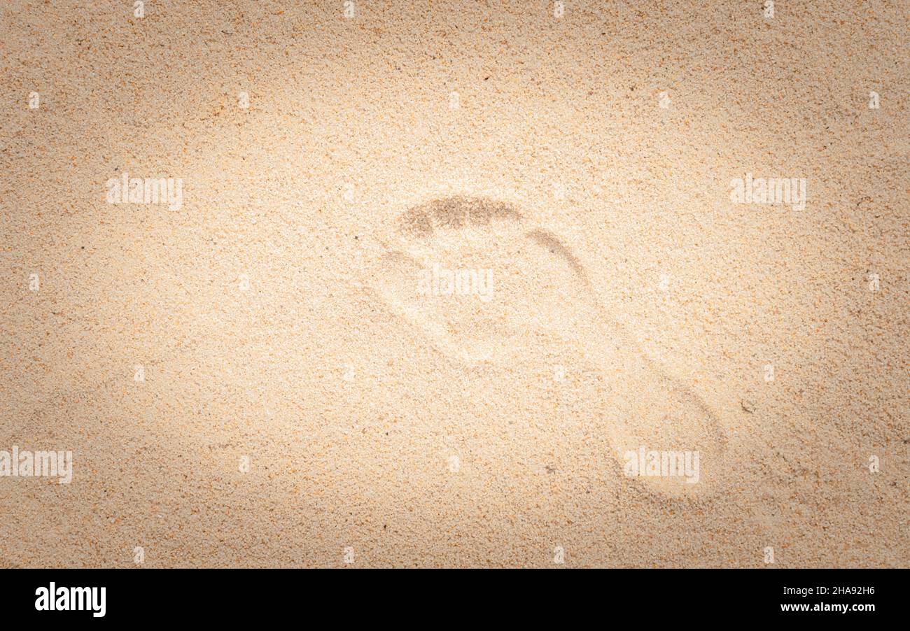 Background grains of sea sand, fine beach sand Stock Photo - Alamy