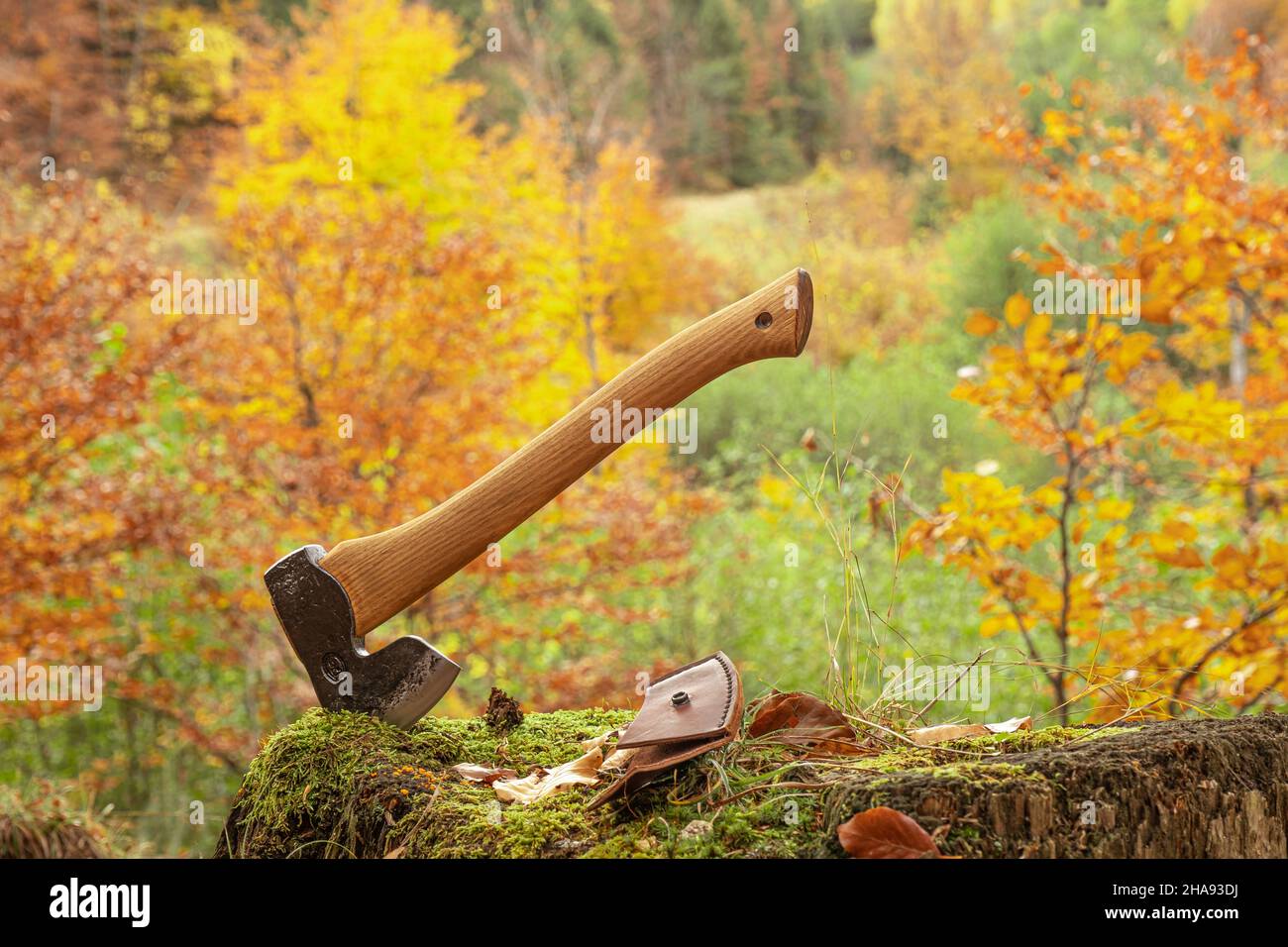 an axe stuck up in the tree stump Stock Photo - Alamy