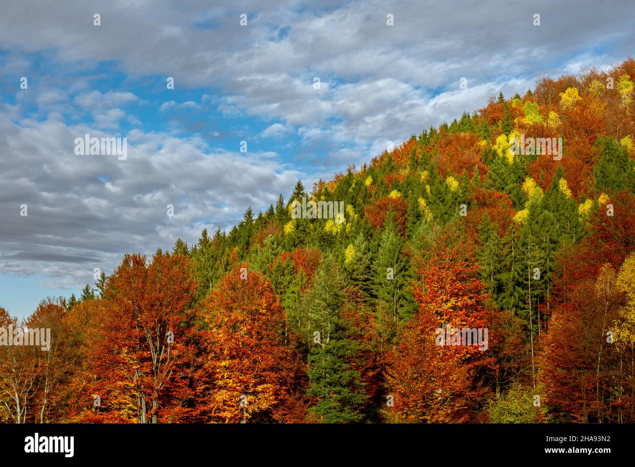 beautiful autumn landscapes in the Romanian mountains, Fantanele ...