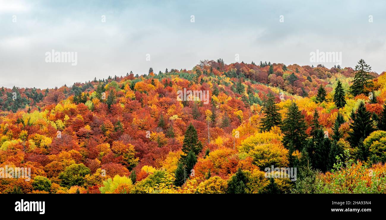 beautiful autumn landscapes in the Romanian mountains, Fantanele ...