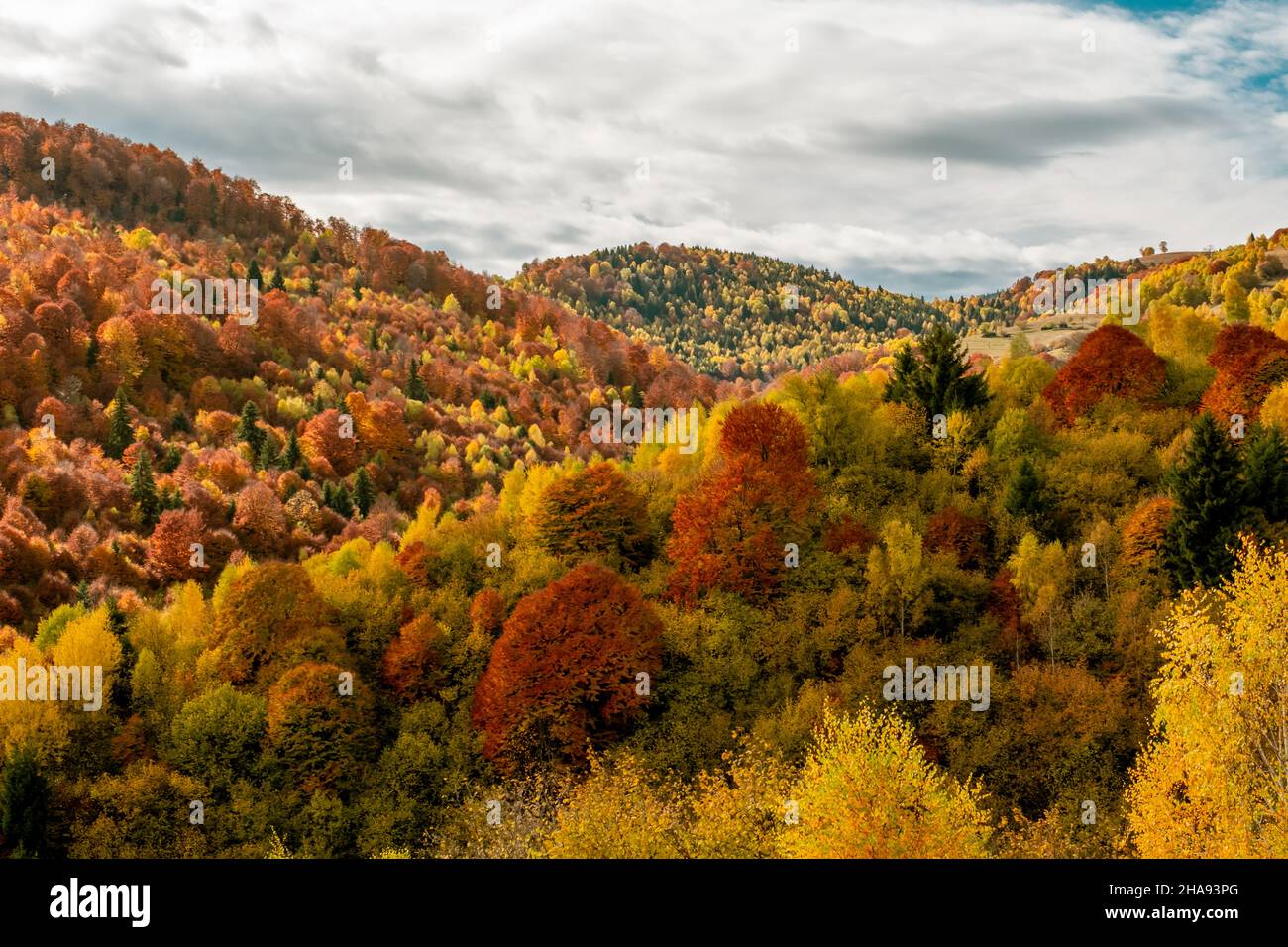 beautiful autumn landscapes in the Romanian mountains, Fantanele ...