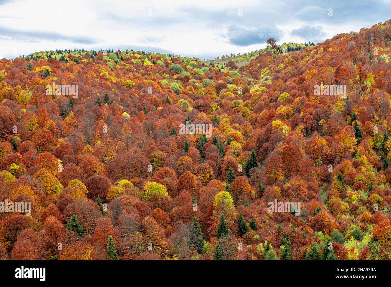 beautiful autumn landscapes in the Romanian mountains, Fantanele ...