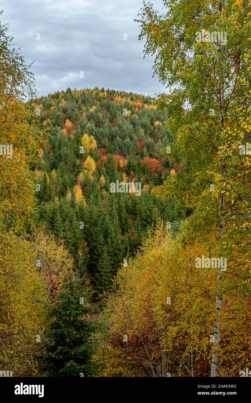 beautiful autumn landscapes in the Romanian mountains, Fantanele ...