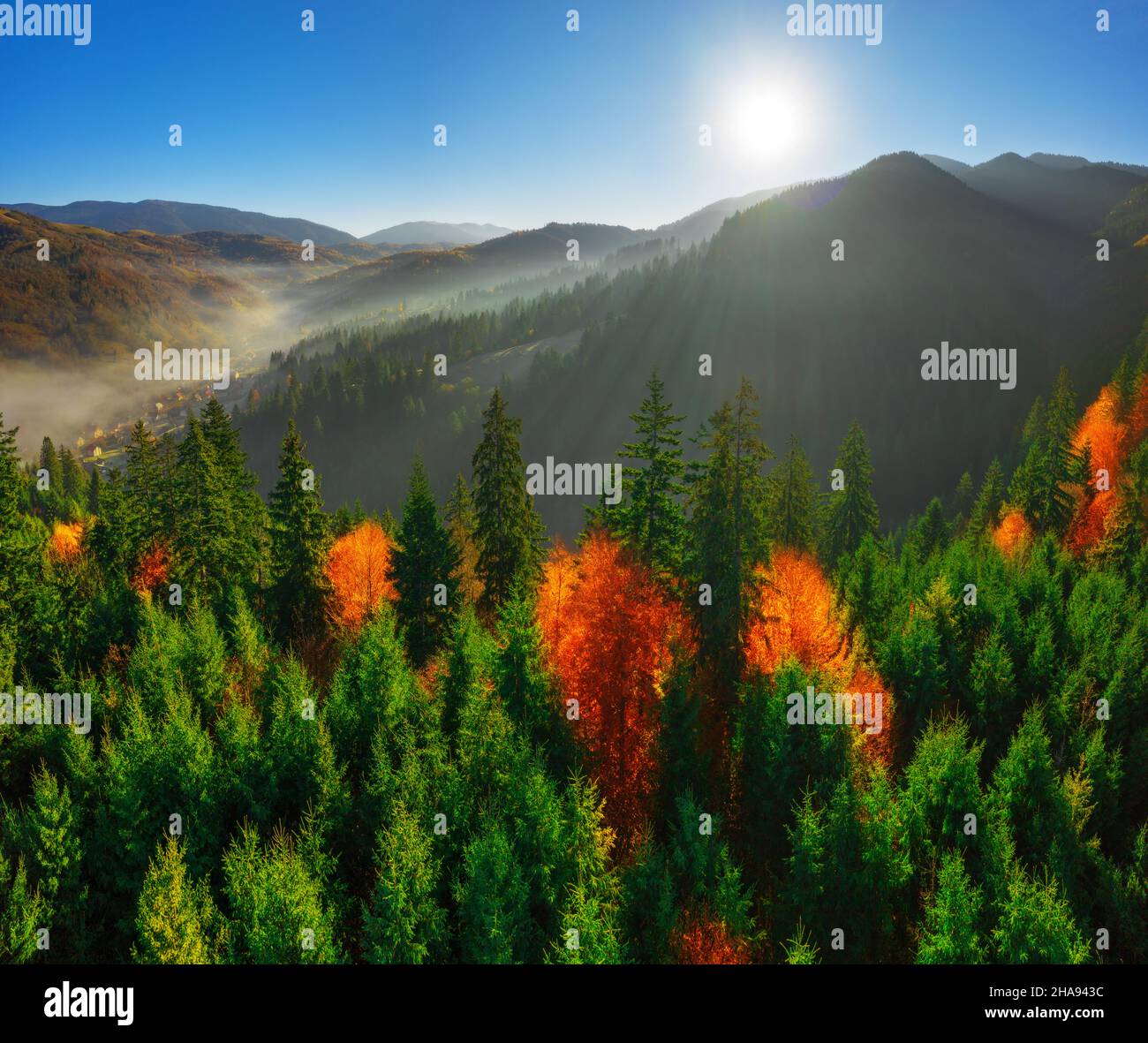 Autumn forest with bright colorful trees top view. Natural background ...