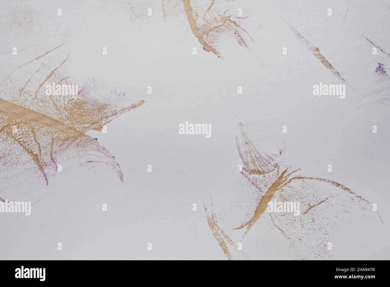 traces on paper from rose petals Stock Photo - Alamy