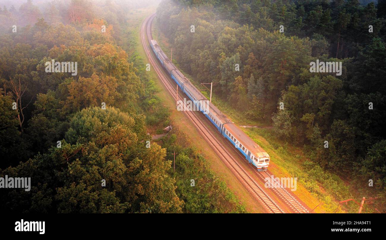 A freight train loaded with resources delivers cargo through the forest ...