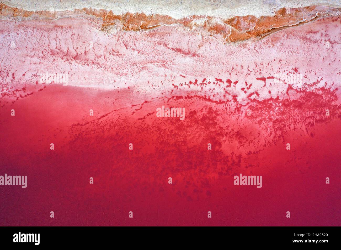 Natural abstract background. Pink water and white salt in the salt lake ...