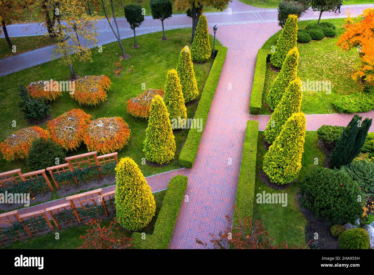 The use of evergreen plants in landscaping. Thuja, boxwood and ...