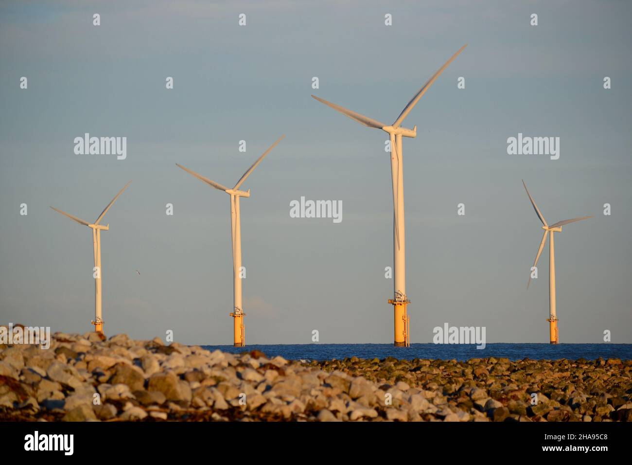 Naturally lit colour image of the Teesside Wind Farm operated by EDF ...