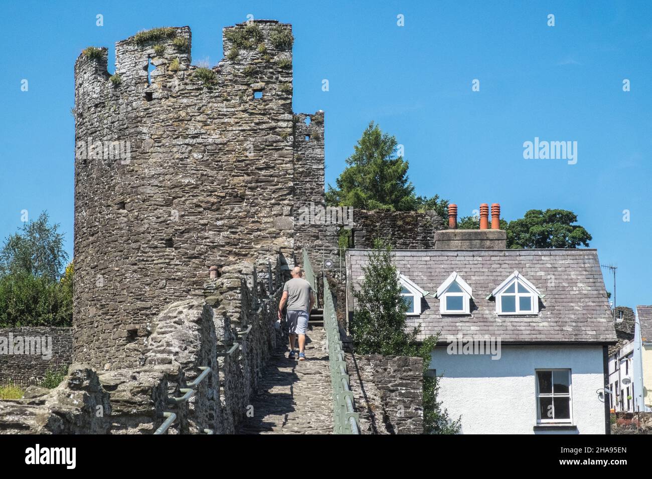 Walk,walking,walker,castle,walls,around,town,of,in,Conway,with,views ...