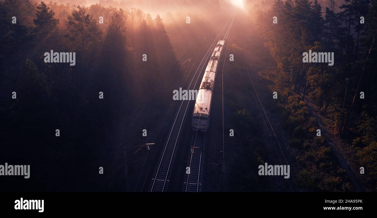 A freight train loaded with resources delivers cargo through the forest ...