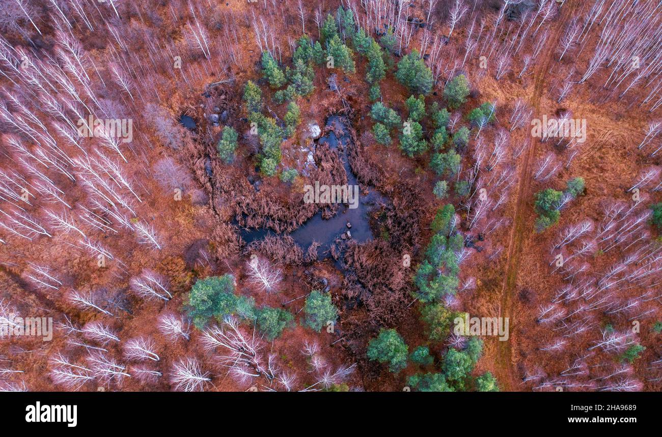 The ecosystem of the river was destroyed by harmful emissions from the ...