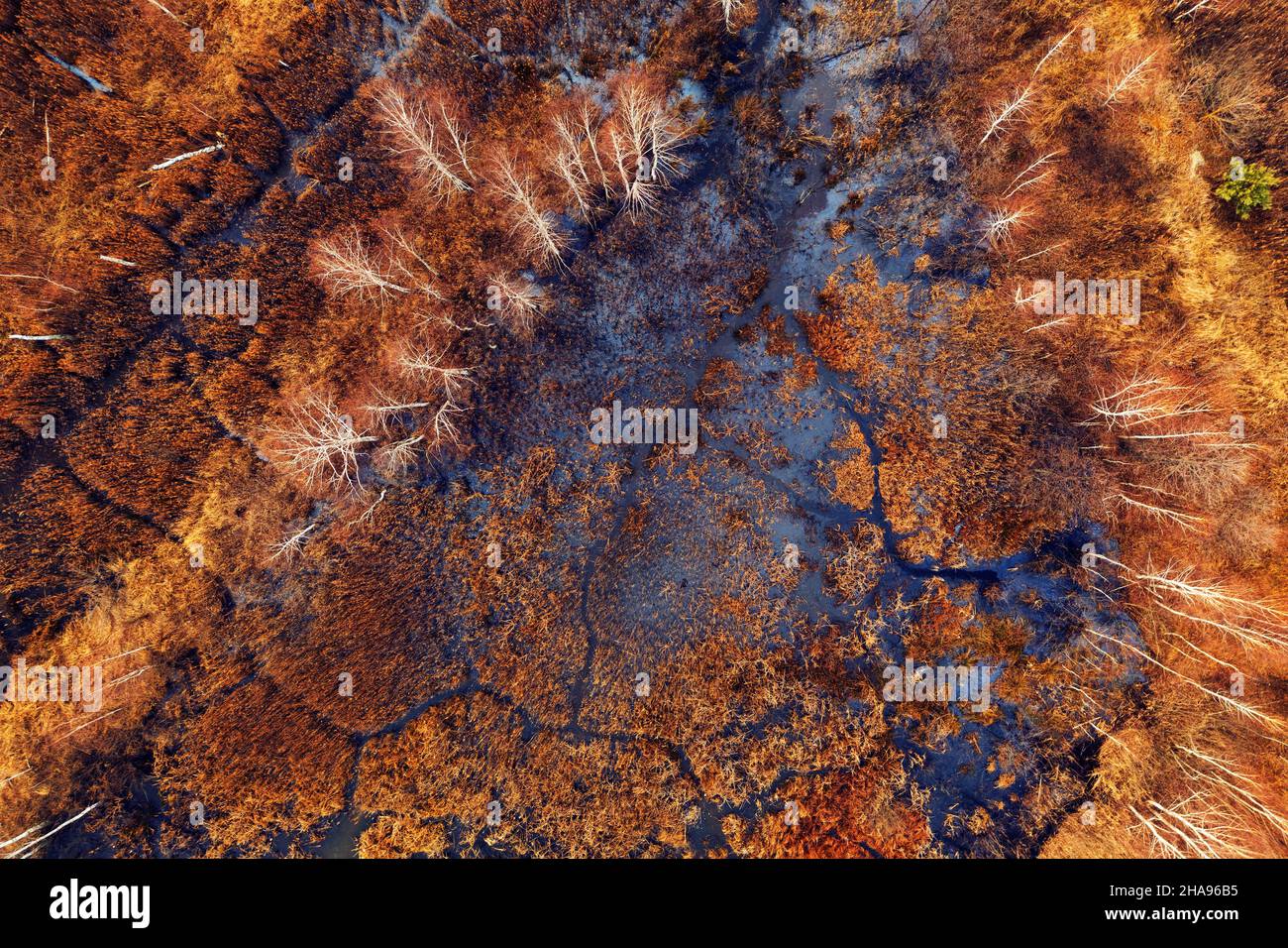 The ecosystem of the river was destroyed by harmful emissions from the ...