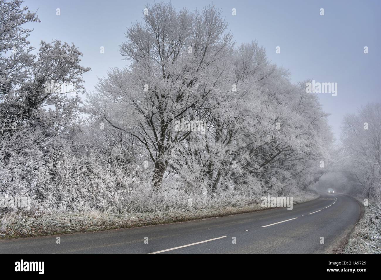 Winter landscape, icy road with fog, and frost covered trees, Somerset ...