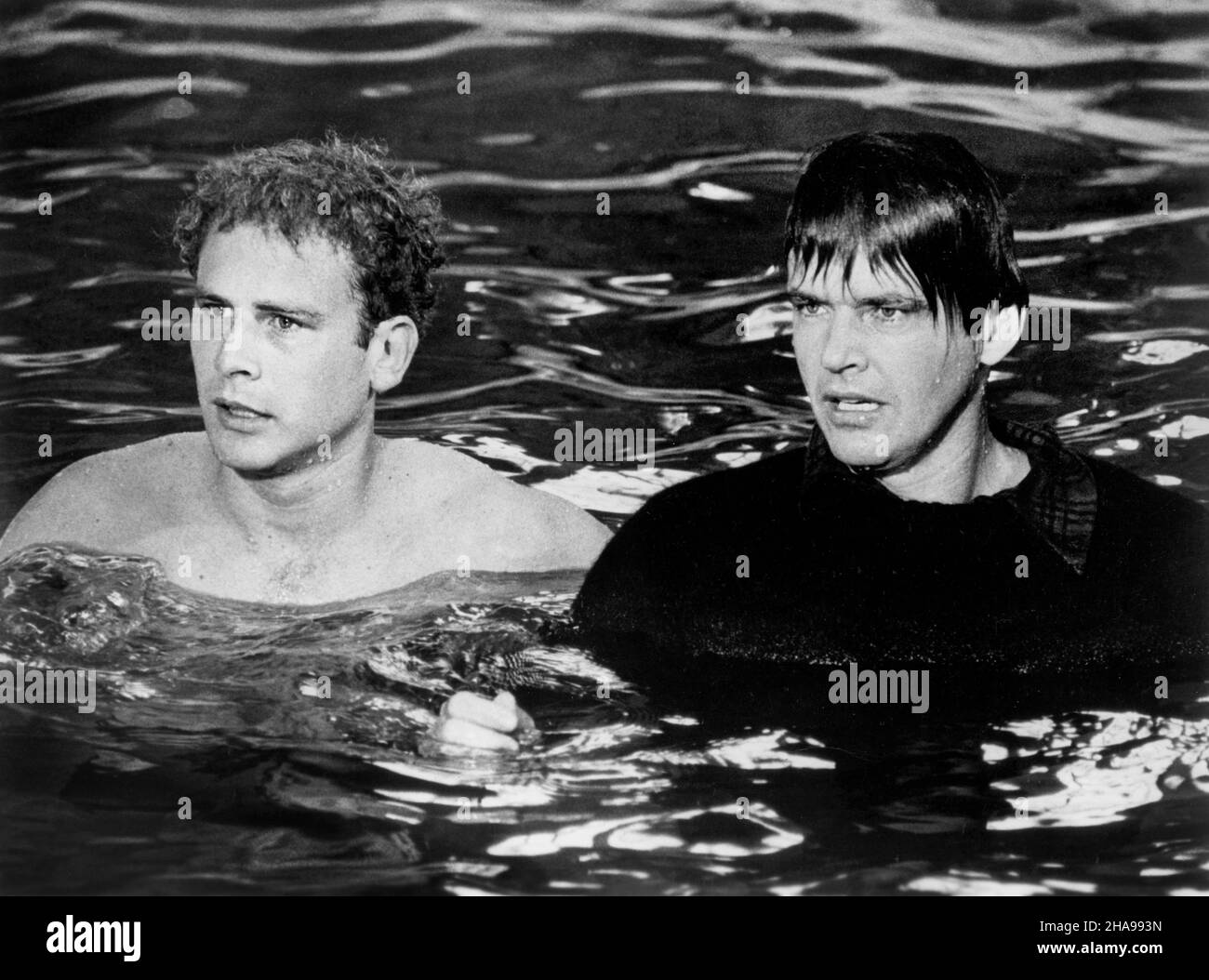 Jack nicholson carnal knowledge Black and White Stock Photos & Images ...