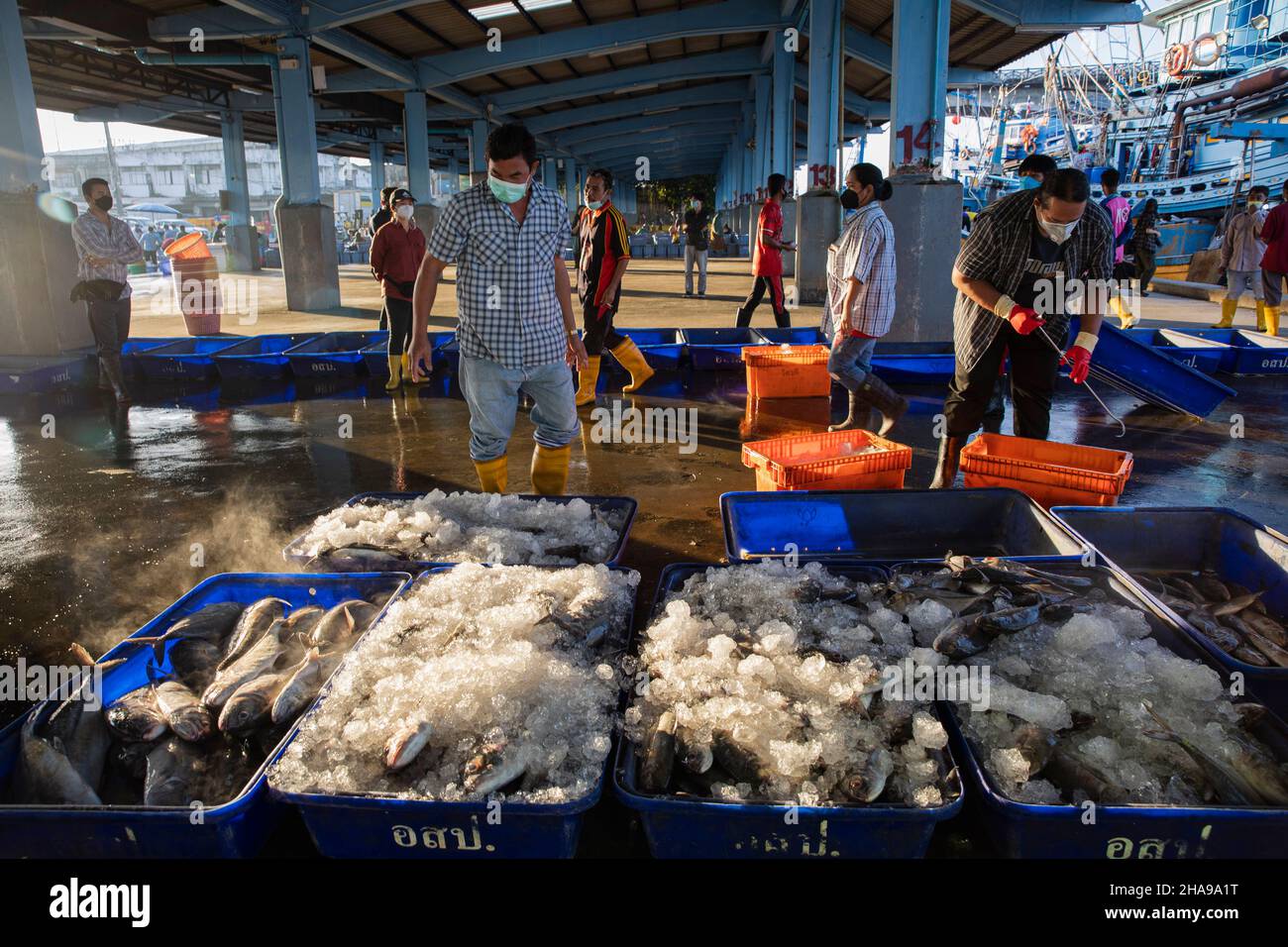 Pattani, Thailand. 09th Dec, 2021. Fishing workers seen screening fish ...