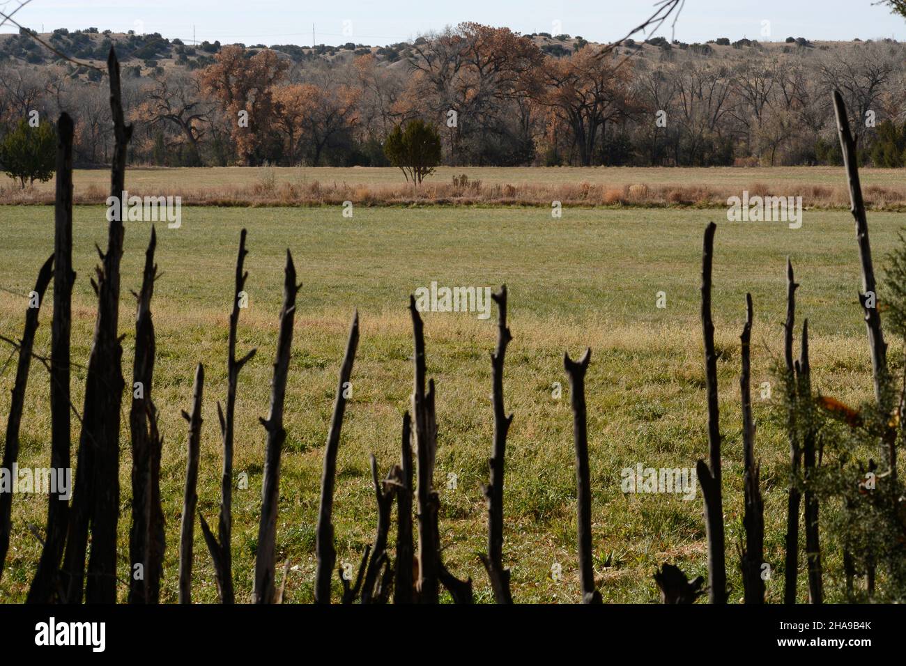 A rustic fence made from tree branches, known as "coyote fences" in the ...