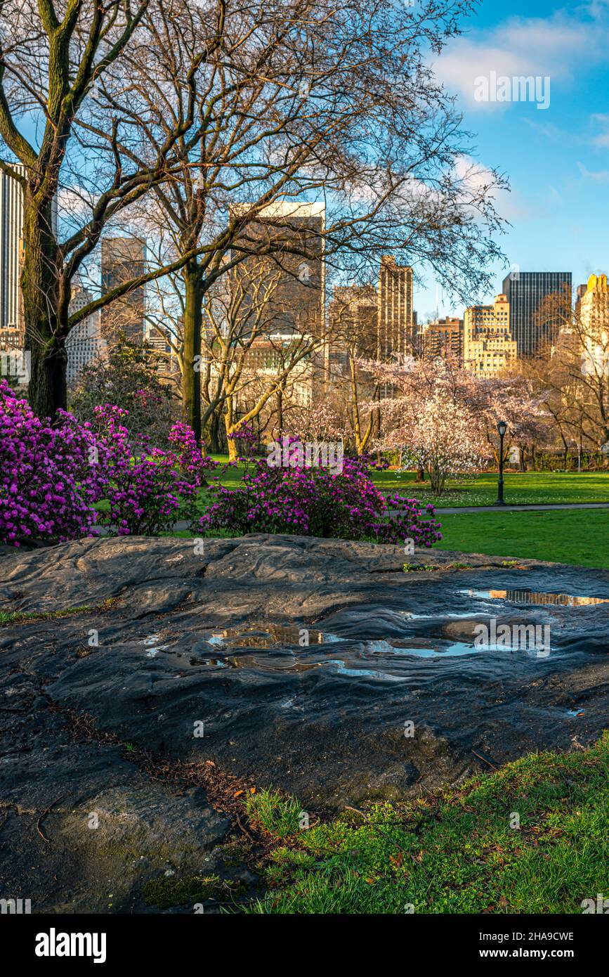 Spring in Central Park, New York City Stock Photo - Alamy