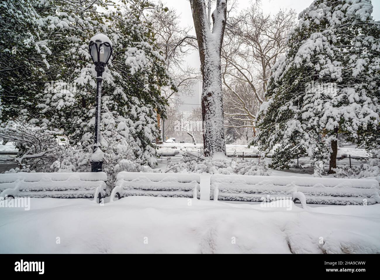 Central Park in winter after snow storm in the early morning Stock ...