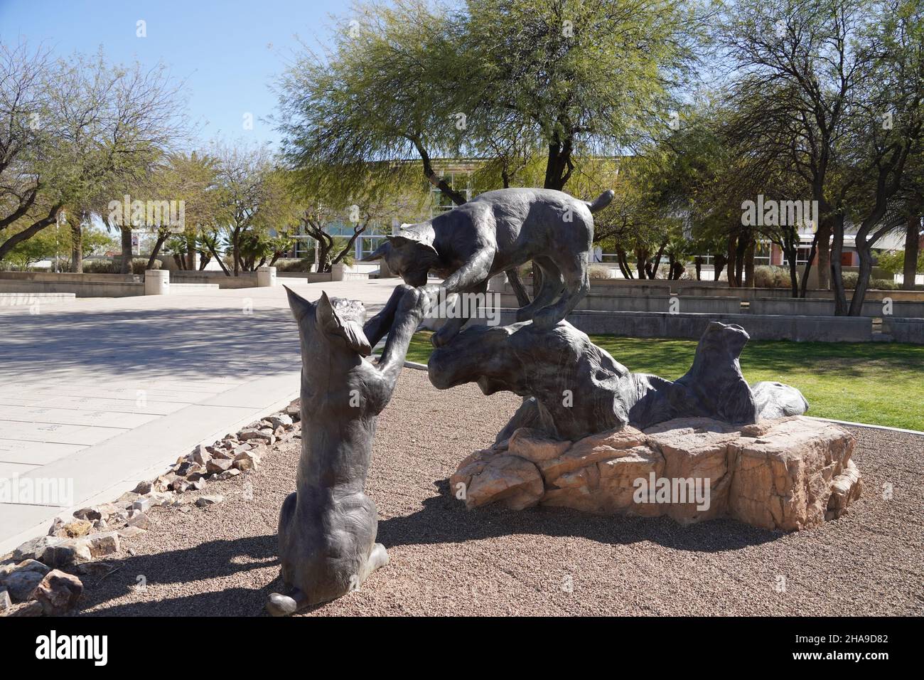 A statue sculpture at the McKale Center on the campus of Arizona ...