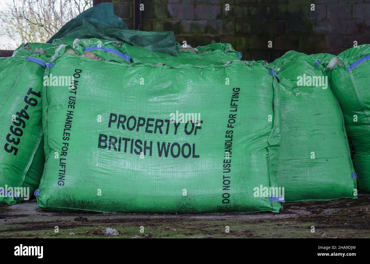several large green full sacks of British sheep wool in a shearing shed ...